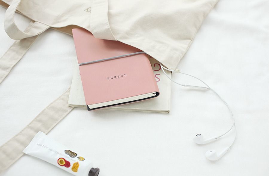 MochiThings: Small Agenda Notebook