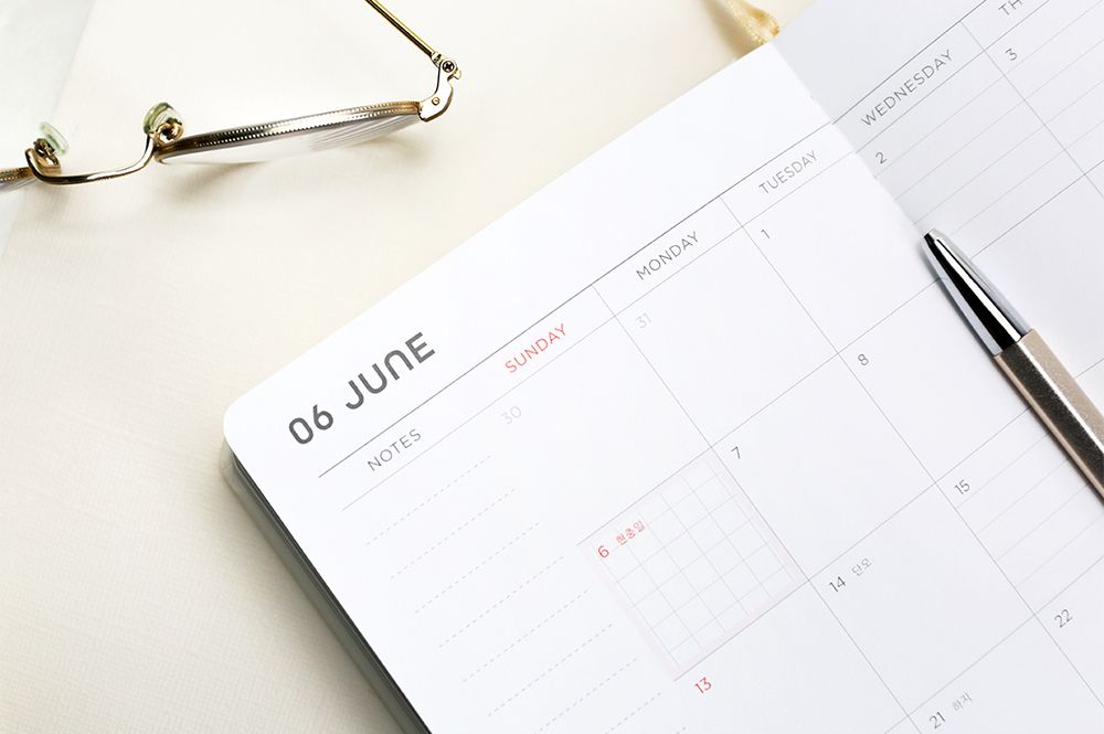 MochiThings: 2021 Medium Hardcover Weekly Planner