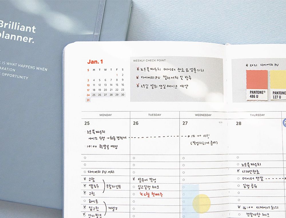 MochiThings: 2021 Brilliant Weekly Planner