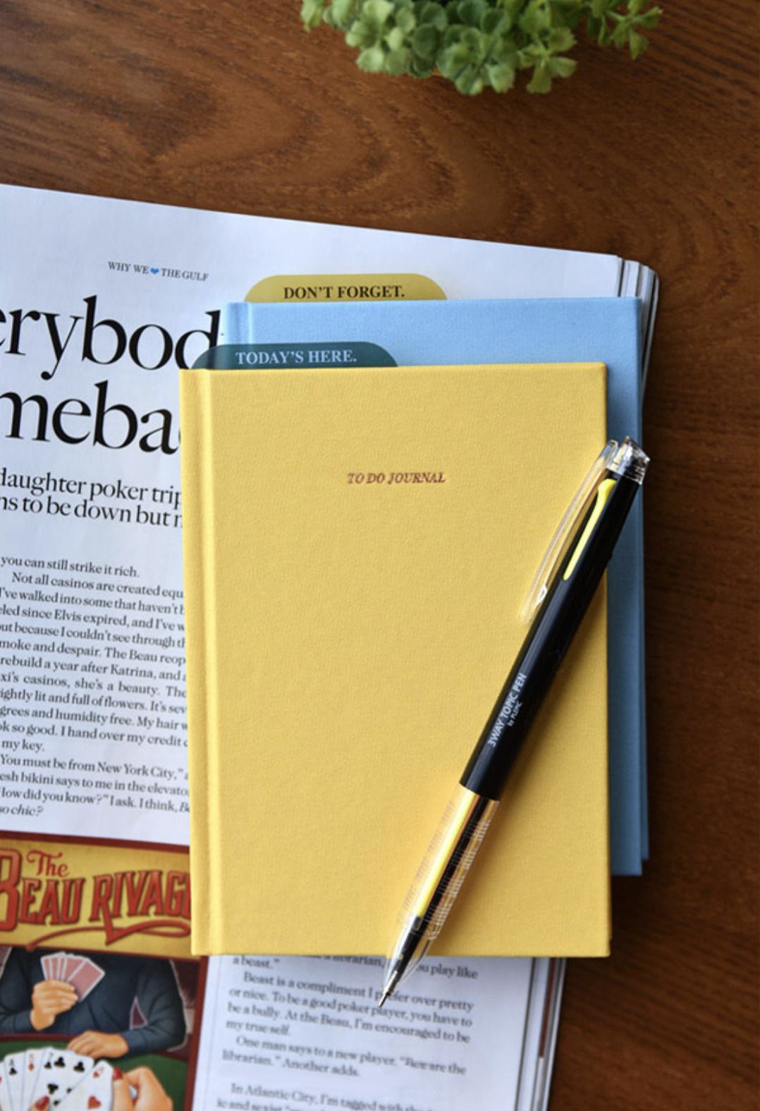 MochiThings: Daily To Do Hardcover Journal