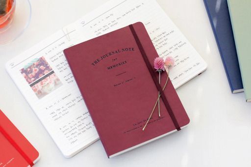 MochiThings: The Journal Notebook