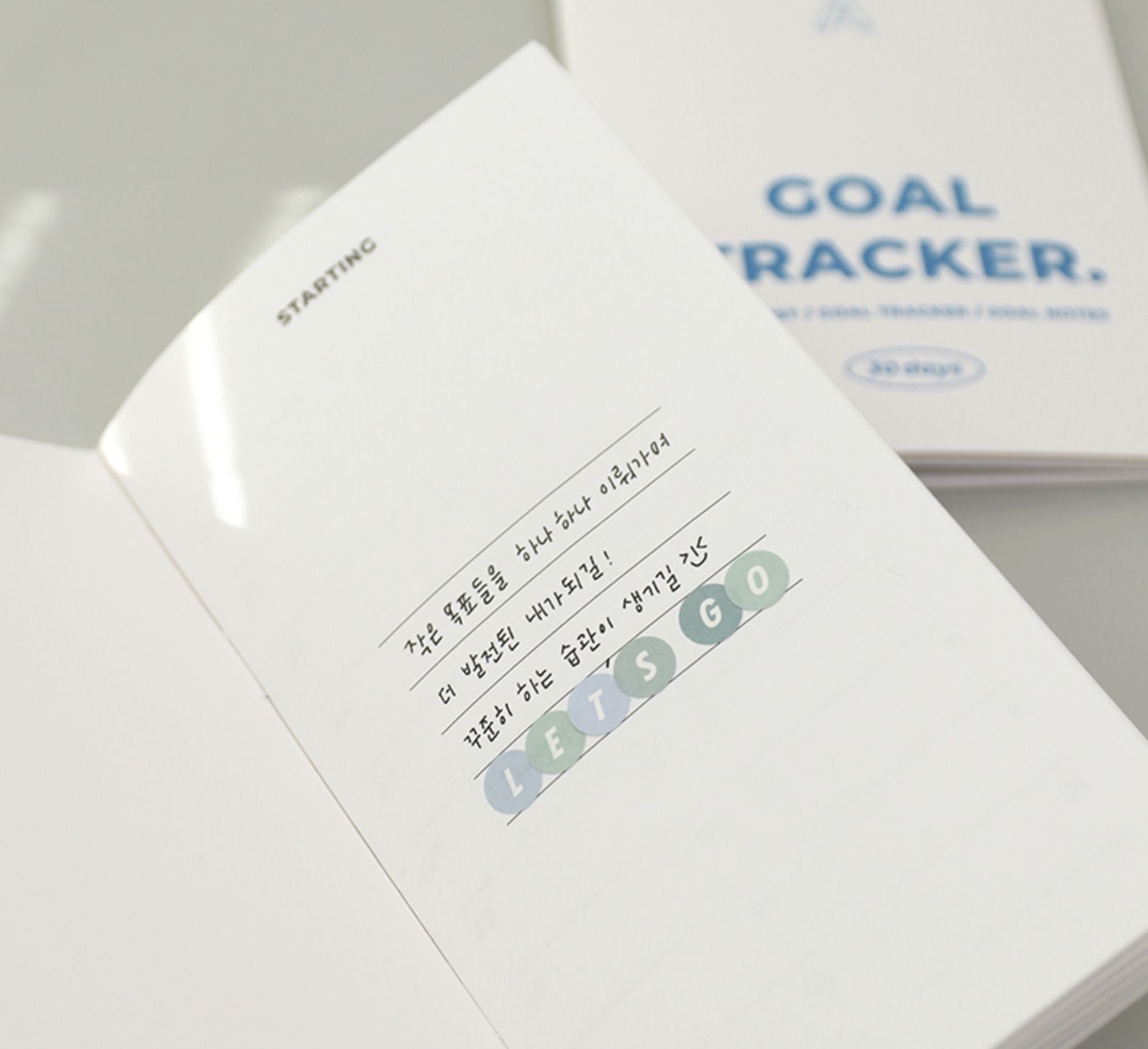 MochiThings: 30 Days Goal Tracking Slim Notebook
