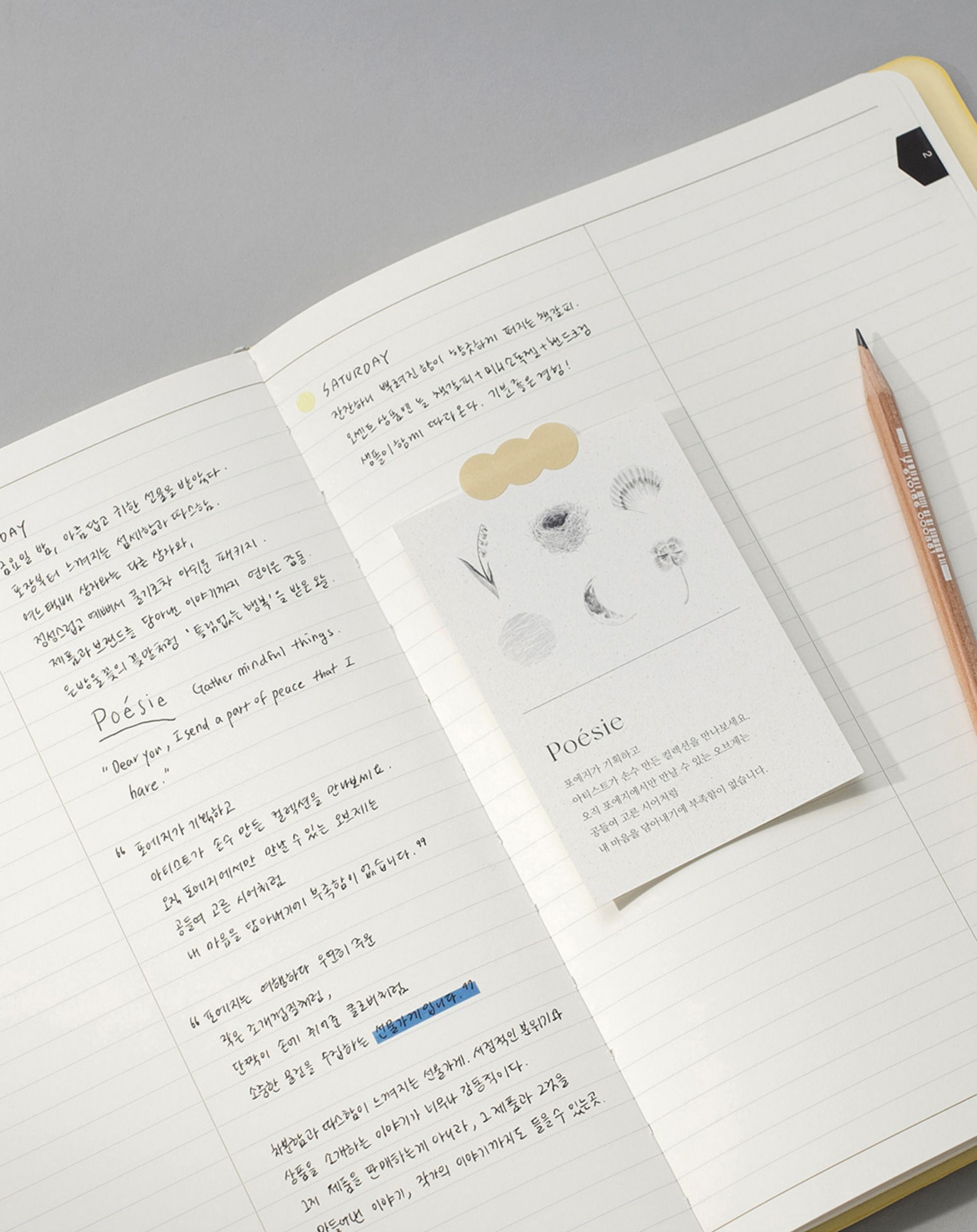 MochiThings: 2022 B5 Slim & Wide Monthly Planner