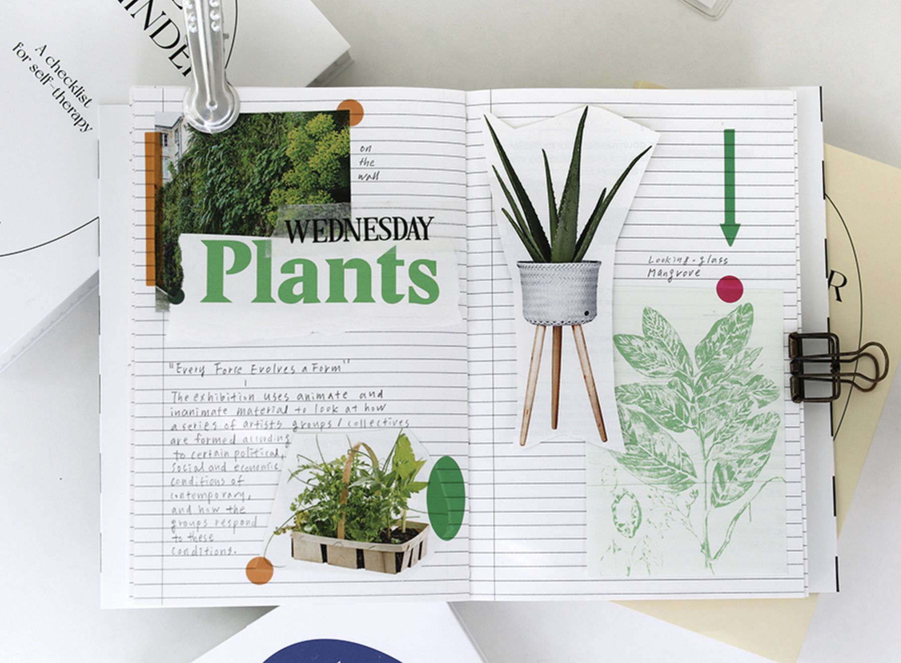 MochiThings: Daily Reminder Checklist Planner