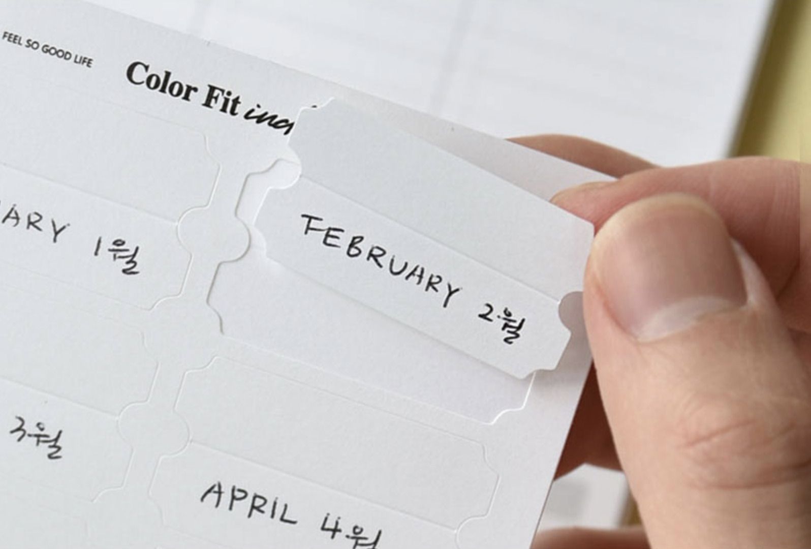 MochiThings: Color Fit Index Label Sticker