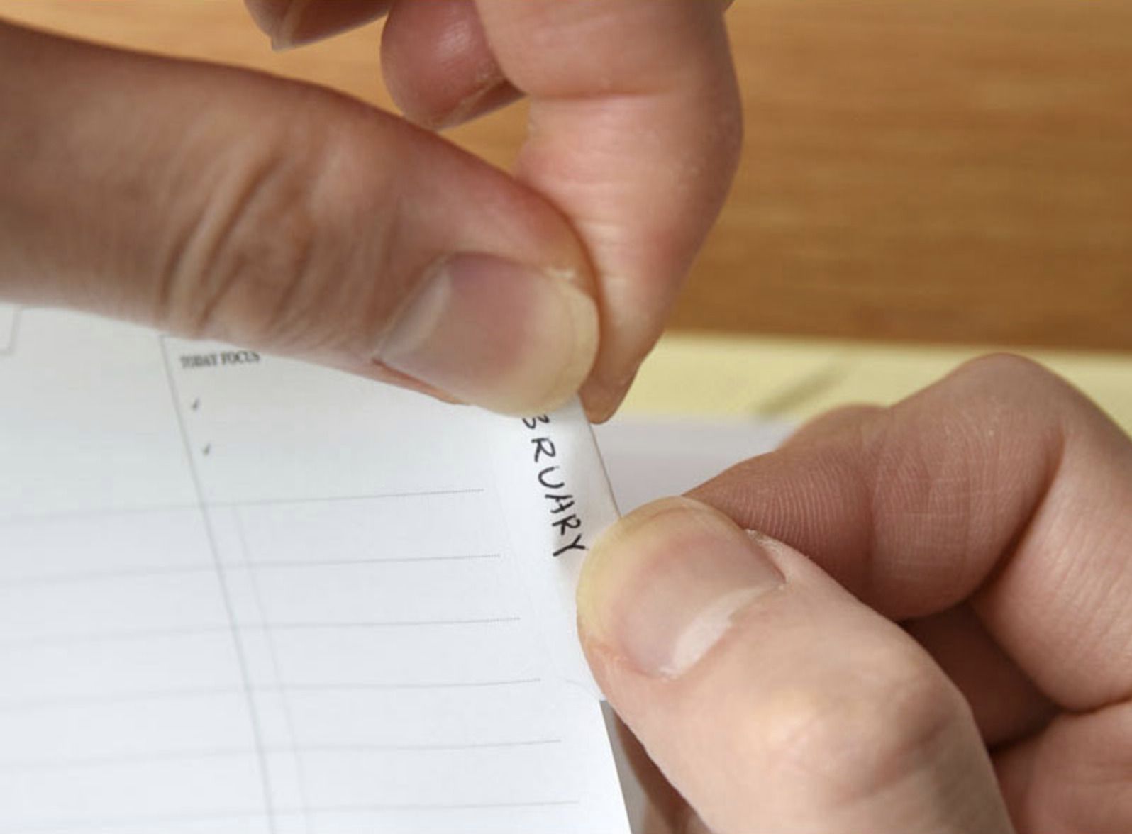 MochiThings: Color Fit Index Label Sticker