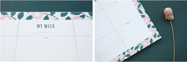 MochiThings: My Weekly Notepad