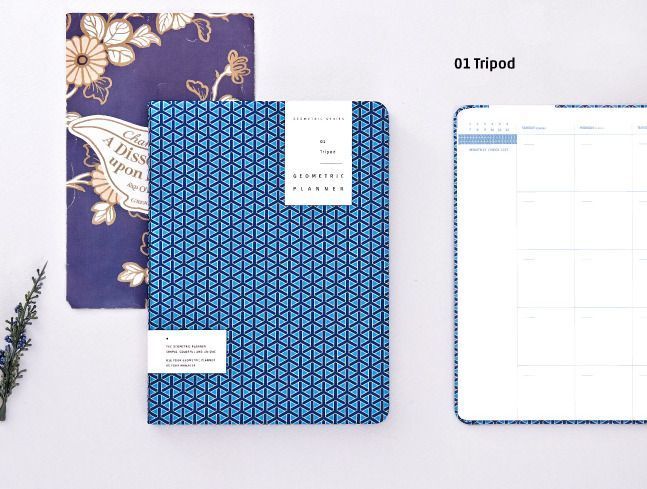 MochiThings: Geometric Planner