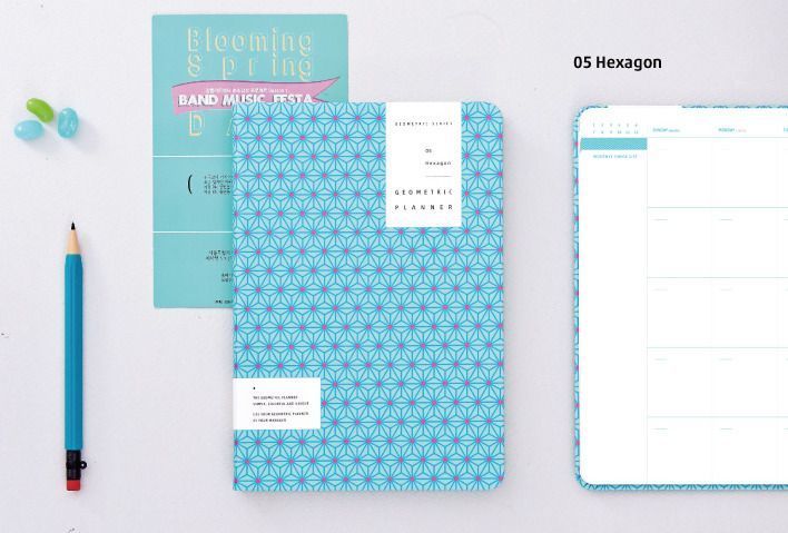 MochiThings: Geometric Planner