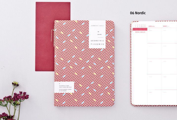 MochiThings: Geometric Planner