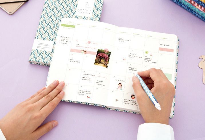 MochiThings: Geometric Planner