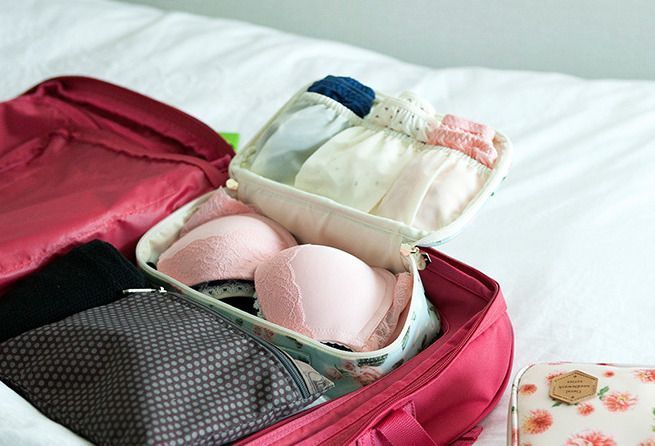 MochiThings: Blossom Underwear Pouch