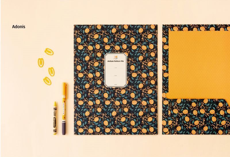 MochiThings: Ardium Pattern File Folder Set