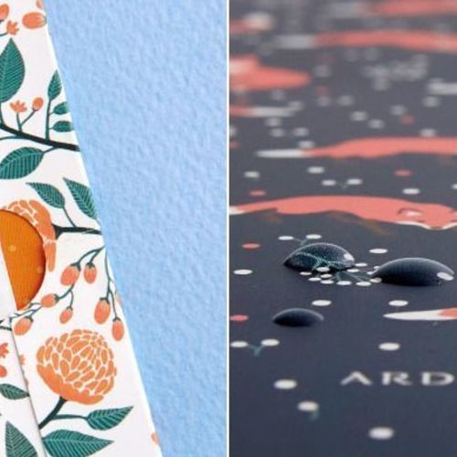 MochiThings: Ardium Pattern File Folder Set