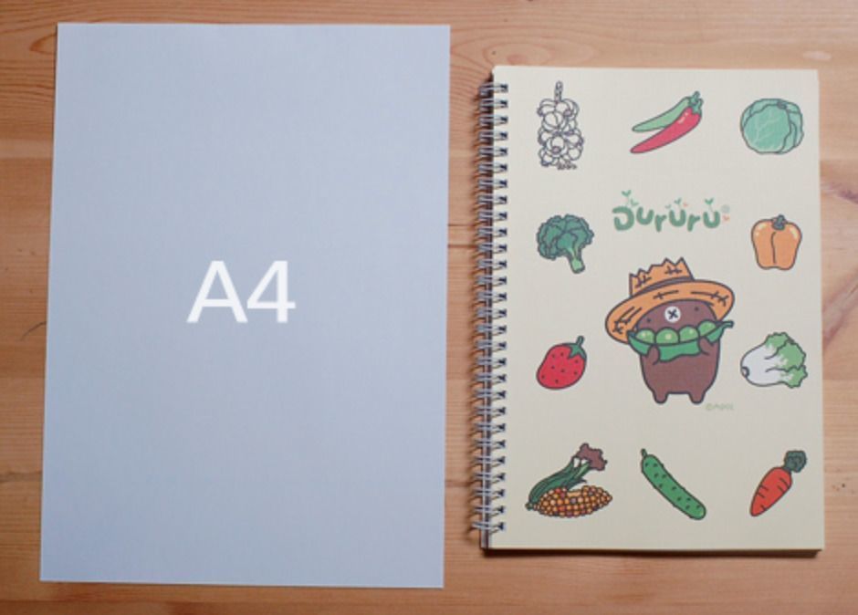MochiThings: Dururu B5 Lined Notebook