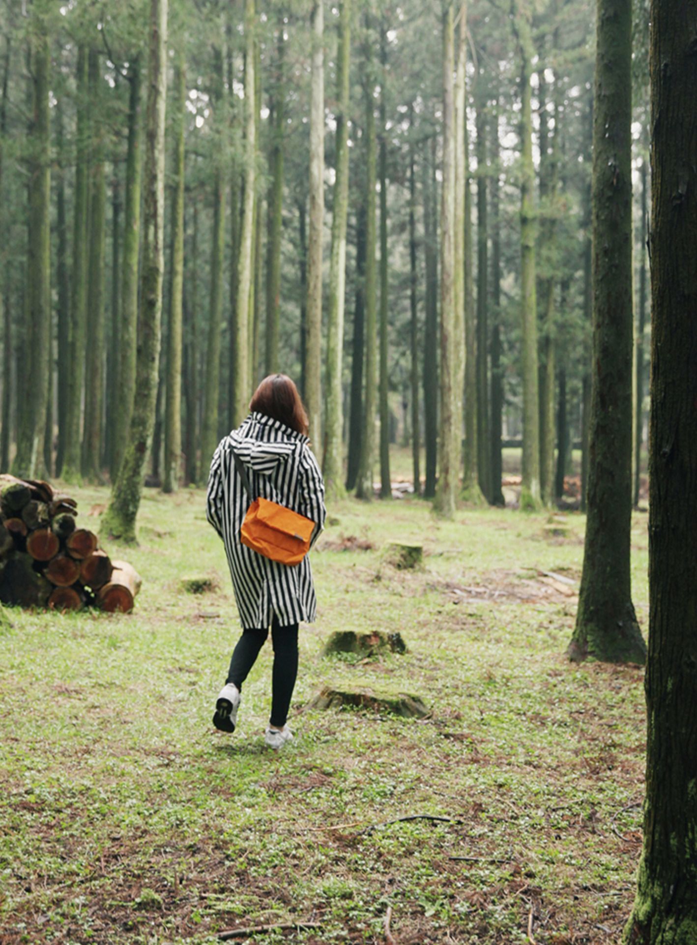MochiThings: Basic Daily Messenger Bag v2