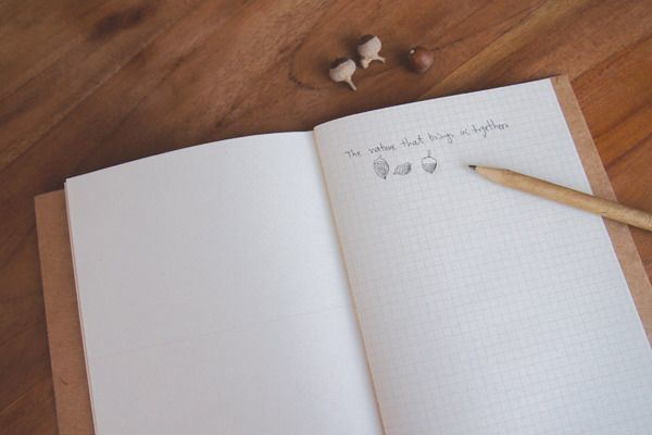 MochiThings: Brown Tree File Notebook