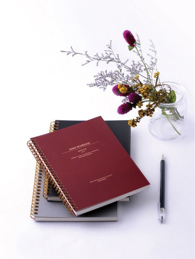 MochiThings: Daily Schedule Planner v2