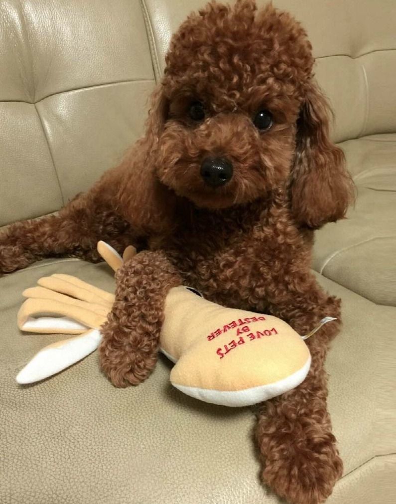 MochiThings: Squeaky Giant Squid Cushion