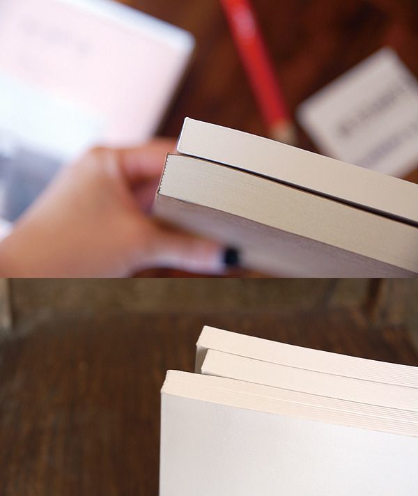 MochiThings: Blank Plain Notebook