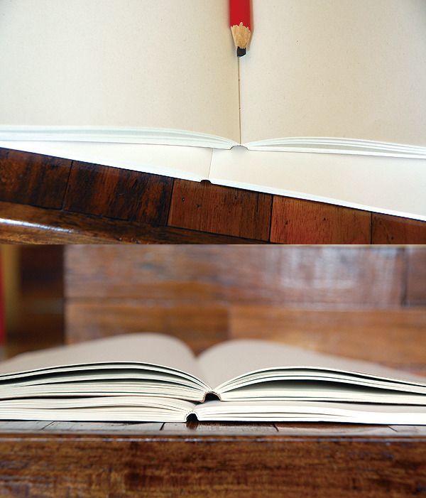 MochiThings: Blank Plain Notebook