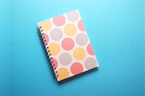 MochiThings: Spring Grid/Lined Notebook