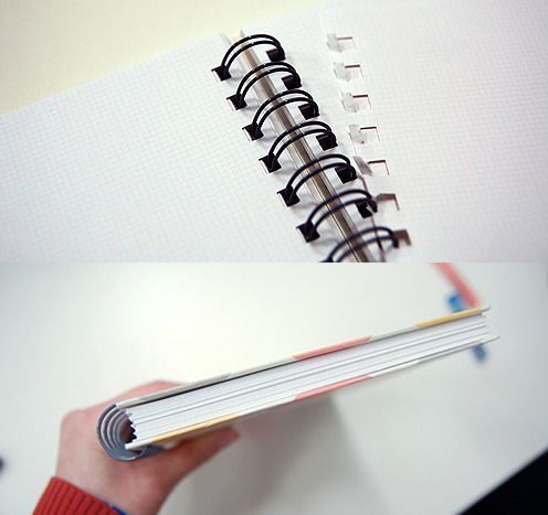 MochiThings: Spring Grid/Lined Notebook