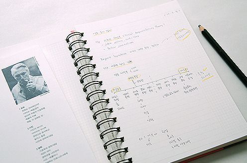 MochiThings: Spring Grid/Lined Notebook
