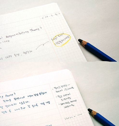 MochiThings: Spring Grid/Lined Notebook