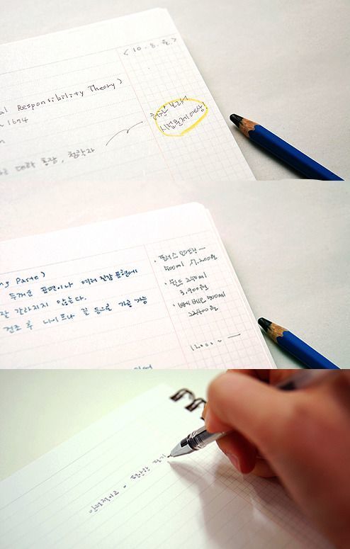 MochiThings: Spring Grid/Lined Notebook