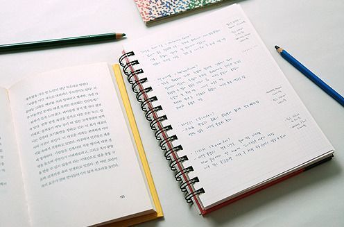 MochiThings: Spring Grid/Lined Notebook