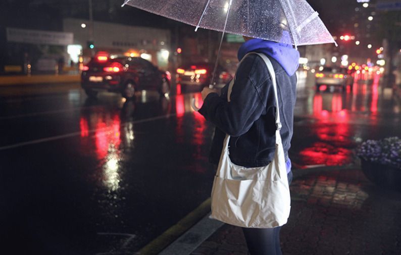 MochiThings: Daily Rain Shoulder Bag