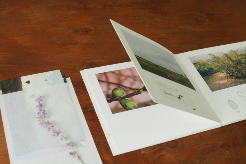 MochiThings: 4x6 Photo Book