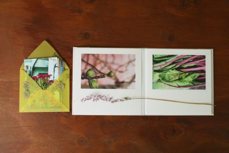 MochiThings: 4x6 Photo Book