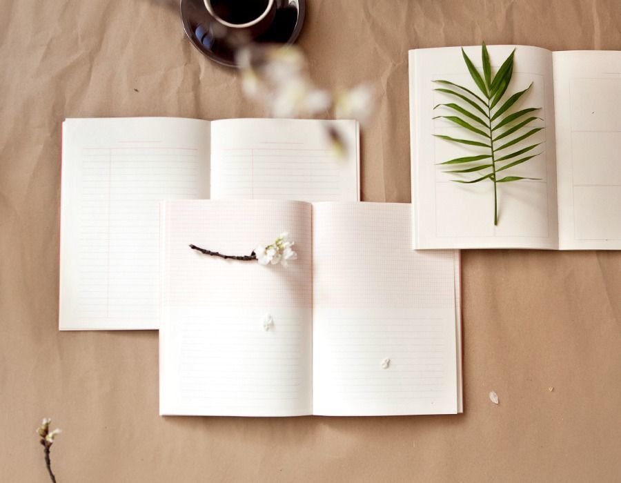 MochiThings: JSTORY Subject Notebook