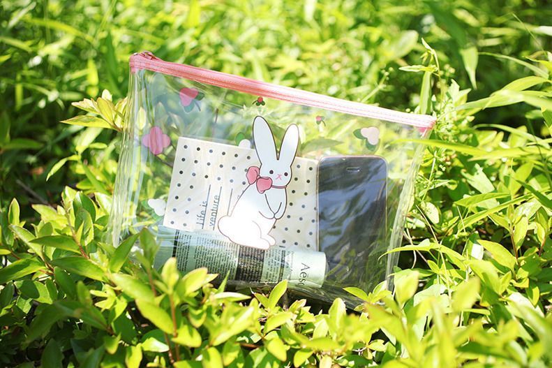 MochiThings: JAM JAM Transparent PVC Pouch