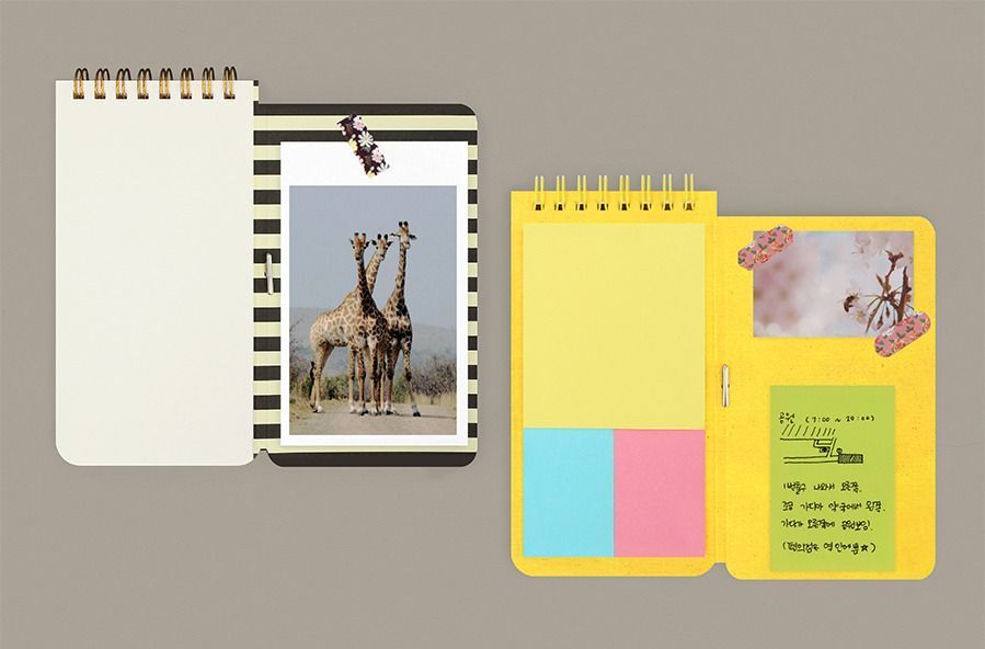 MochiThings: Folding Spiral Notebook