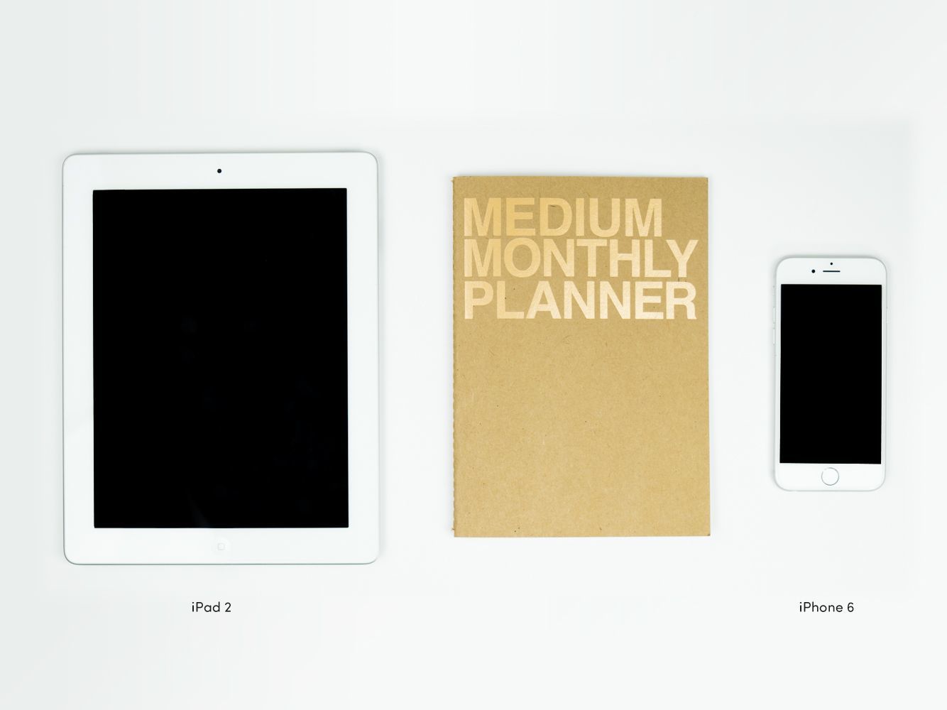 MochiThings: Gold Medium Monthly Planner