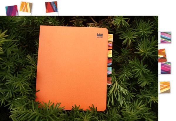 MochiThings: 2-Layer Sticky Note Set