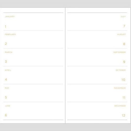 MochiThings: Daily Button Diary Scheduler