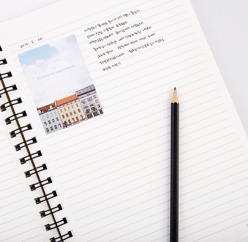 MochiThings: Large Anne of Green Gables Spiral Notebook