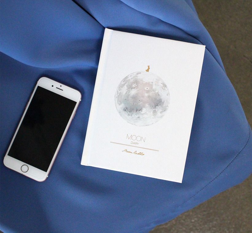 MochiThings: Moon Diary Special Edition Scheduler