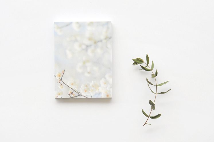 MochiThings: Spring Mini Notepad