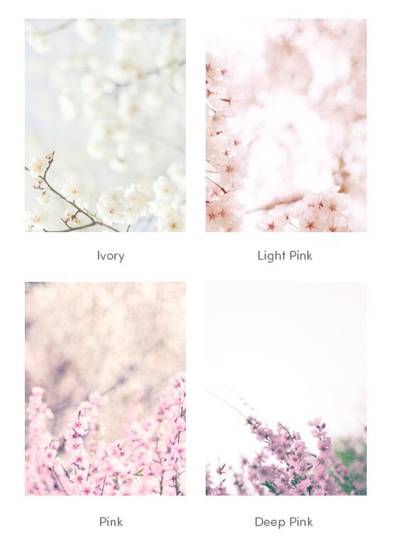 MochiThings: Spring Mini Notepad