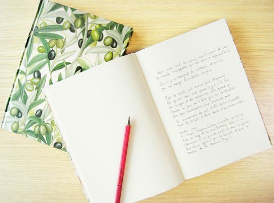 MochiThings: Florence A5 Plain Notebook