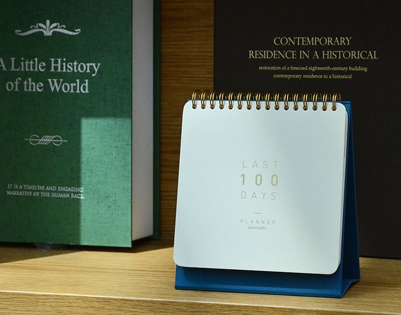 MochiThings: 100 Days Standing Planner