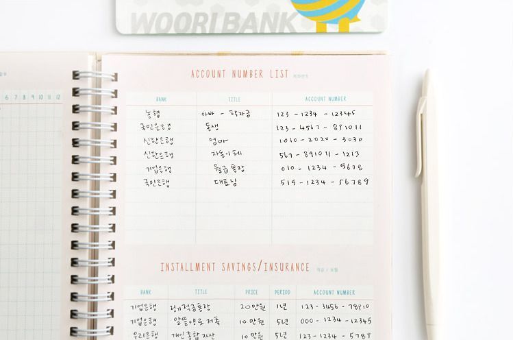 MochiThings: Hellogeeks Cash Book