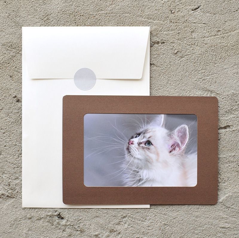 MochiThings: 4x6 Premium Paper Frame + Envelope Set