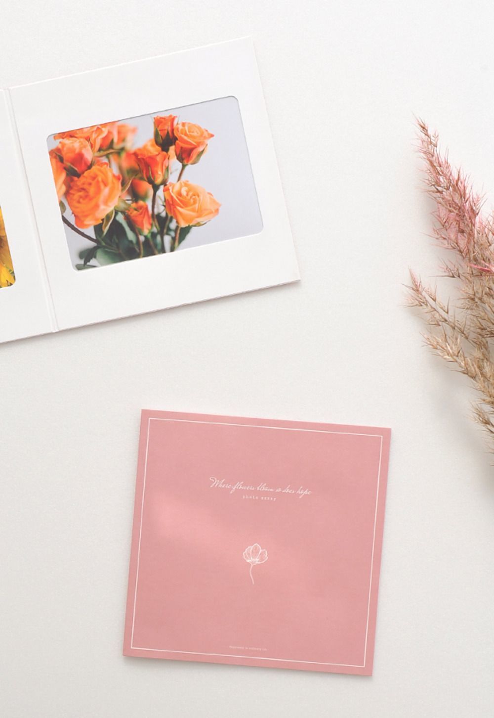 MochiThings: Memory 4x6 Photo Card Set