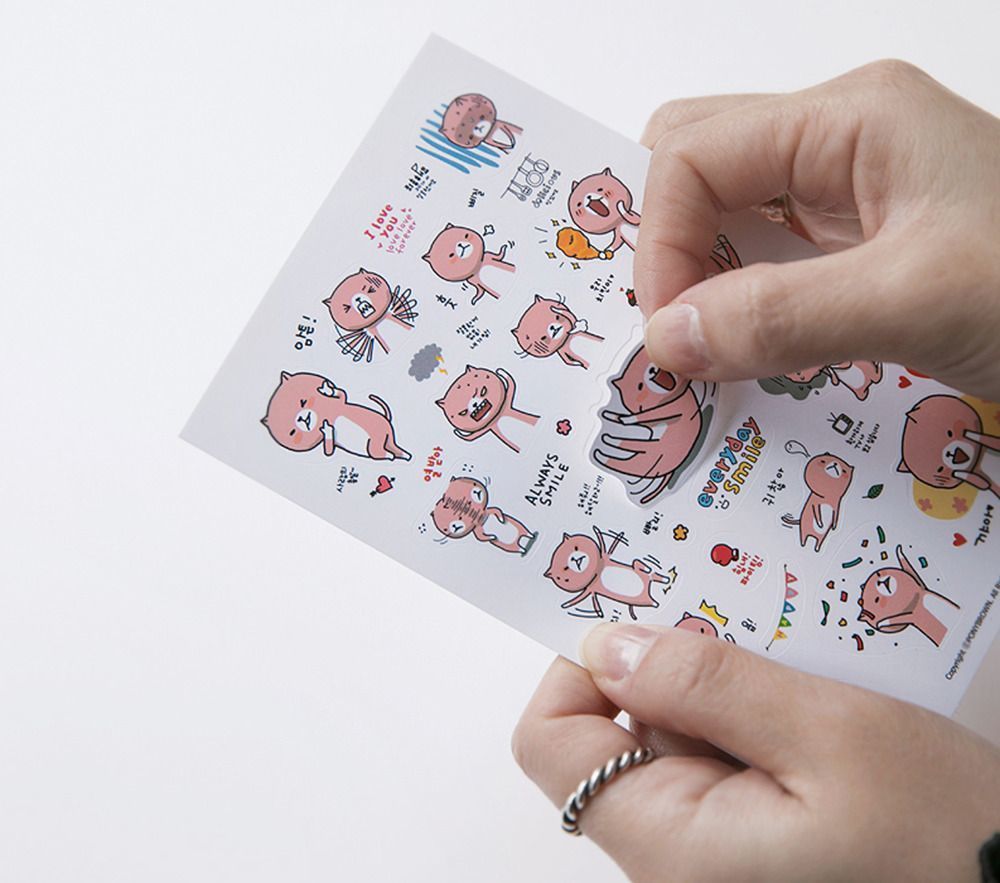 MochiThings: Excited Cat Paper Deco Sticker
